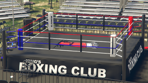 Boxing Event Mirror Park – Sirvilmos Designs
